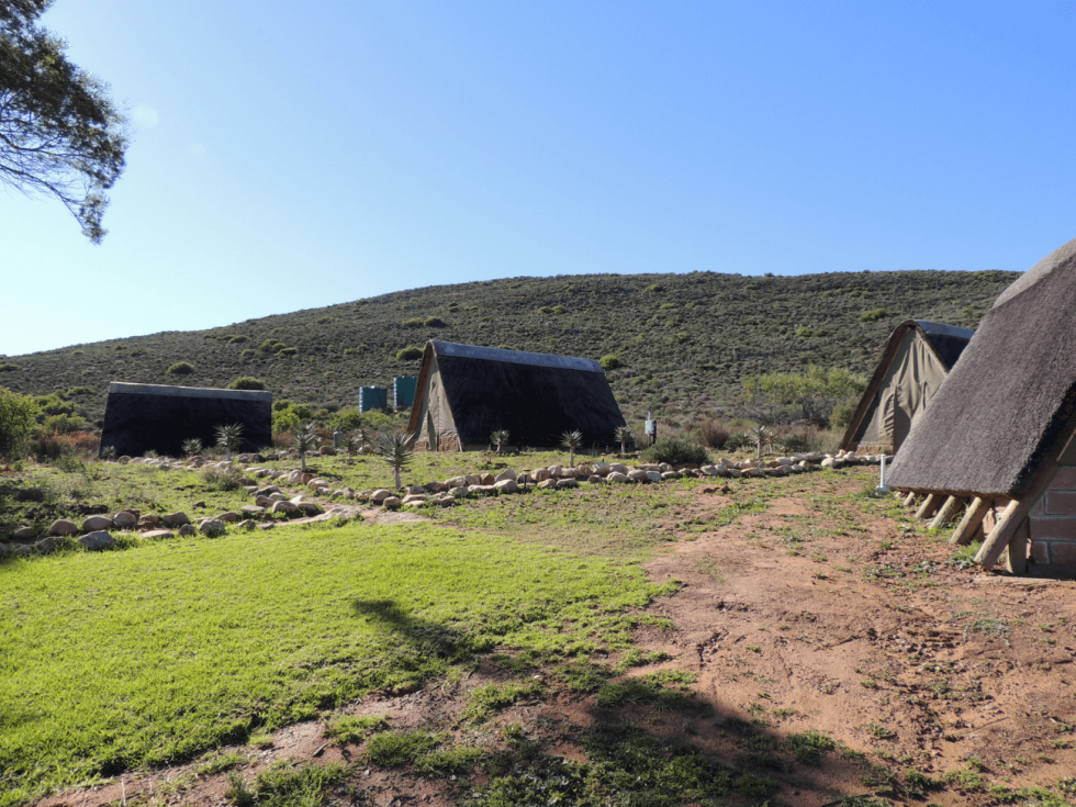 Gallery | Goudkop