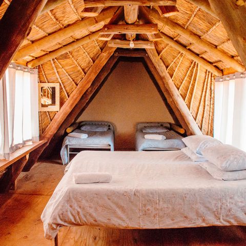 DIE OU HUIS | Goudkop